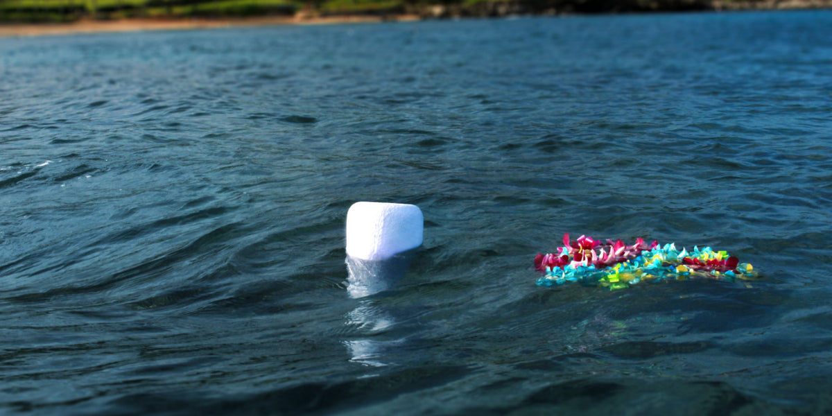 Water Burials, what they are and why people use them | Burial at Sea ...