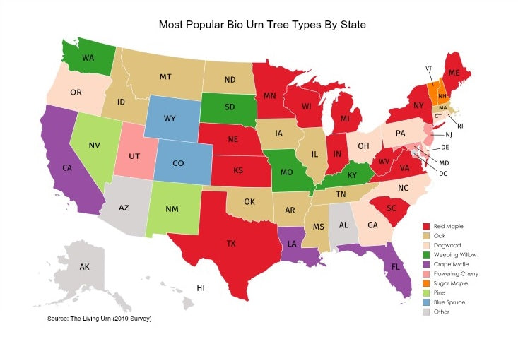 Trees Burial Types by State with The Living Urn | Funeral Trees