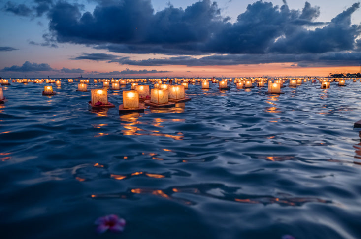Memory Forests, Cremation, and Memorials during the COVID-19 pandemic ...