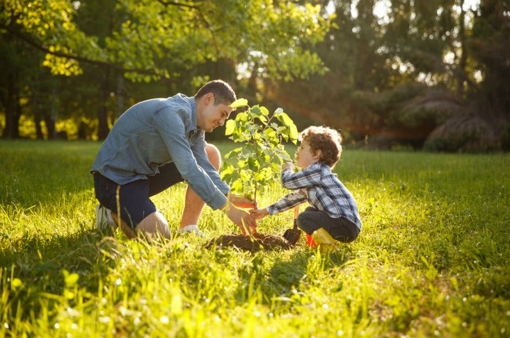 Tree Burial Planting Ceremonies are Growing in Popularity — The Living Urn