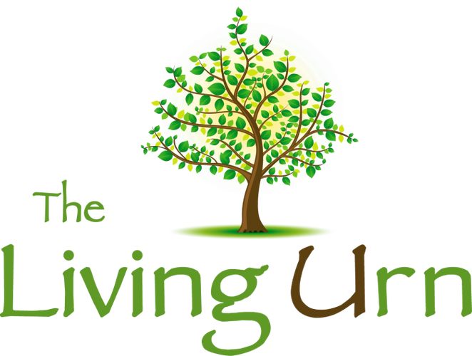 Biodegradable Urn, Tree Pod Burial, Cremation Tree, Bio Urn — The ...