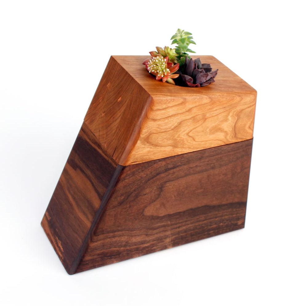 Plant Urn: Beautiful Indoor Cremation Urn for Ashes — The Living Urn