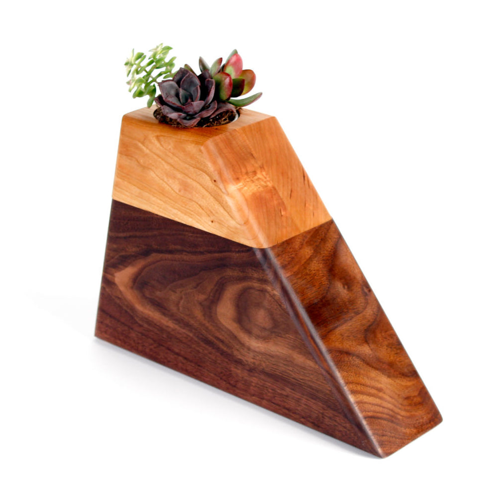 Plant Urn: Beautiful Indoor Cremation Urn for Ashes — The Living Urn