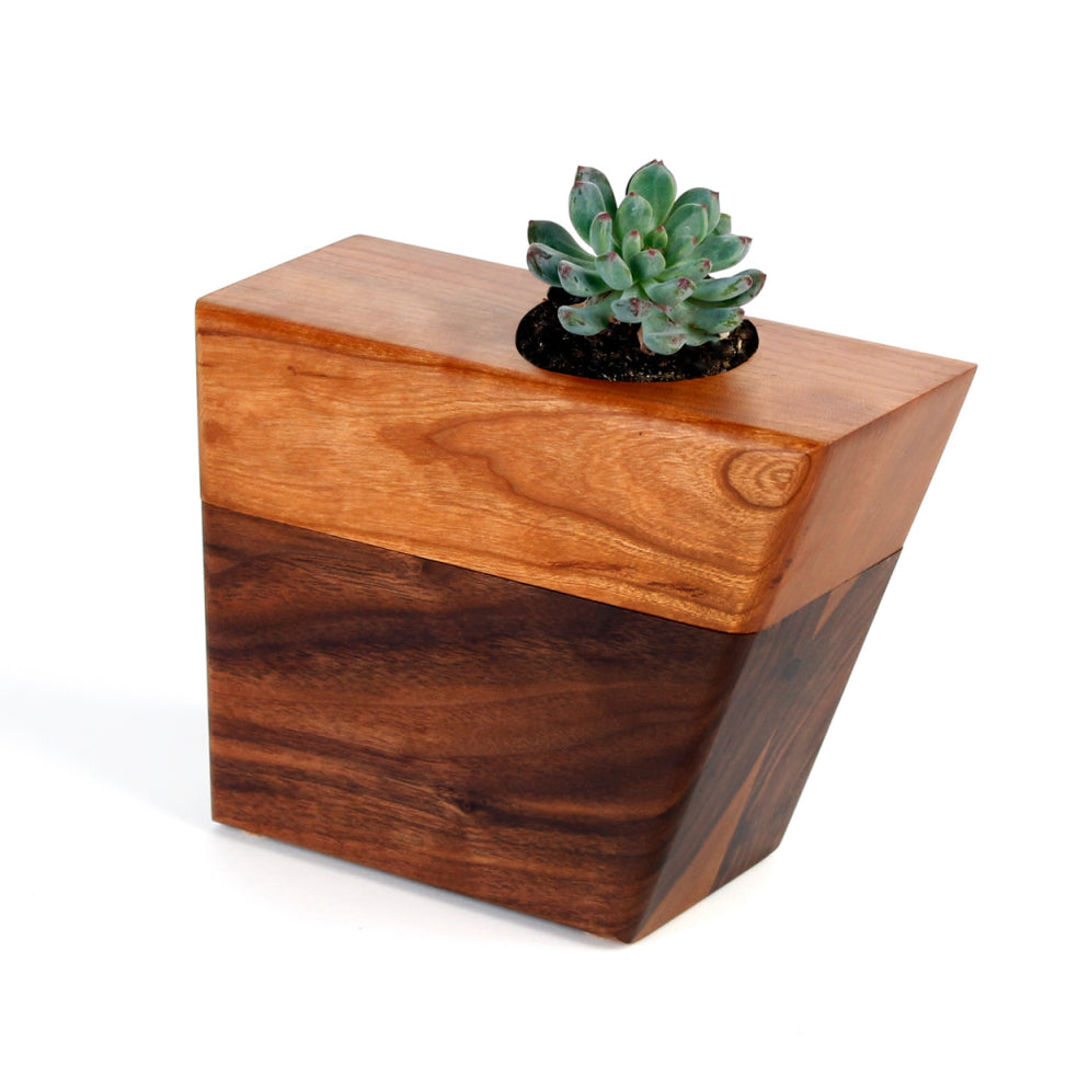 Plant Urn: Beautiful Indoor Cremation Urn for Ashes — The Living Urn