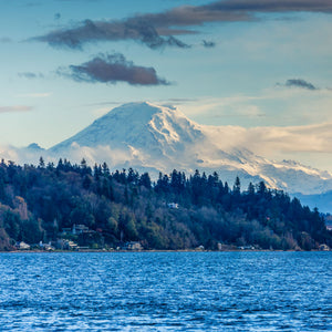 Seattle Ash Scattering Service | Sea Scattering Washington — The Living Urn