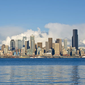 Seattle Ash Scattering Service | Sea Scattering Washington — The Living Urn